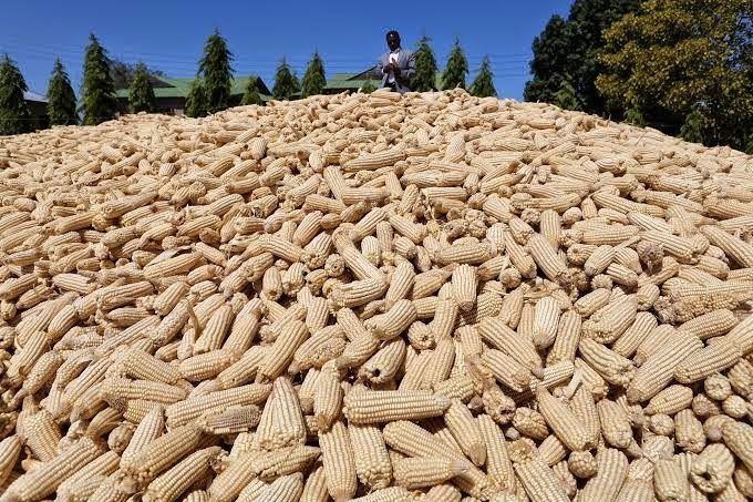 Bei ya Mahindi Haikamatiki Sokoni - Global Publishers