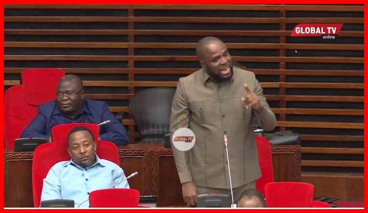 Mbunge wa Buchosa Eric Shigongo Aishauri Serikali Iwekeze Kwenye Kilimo ...