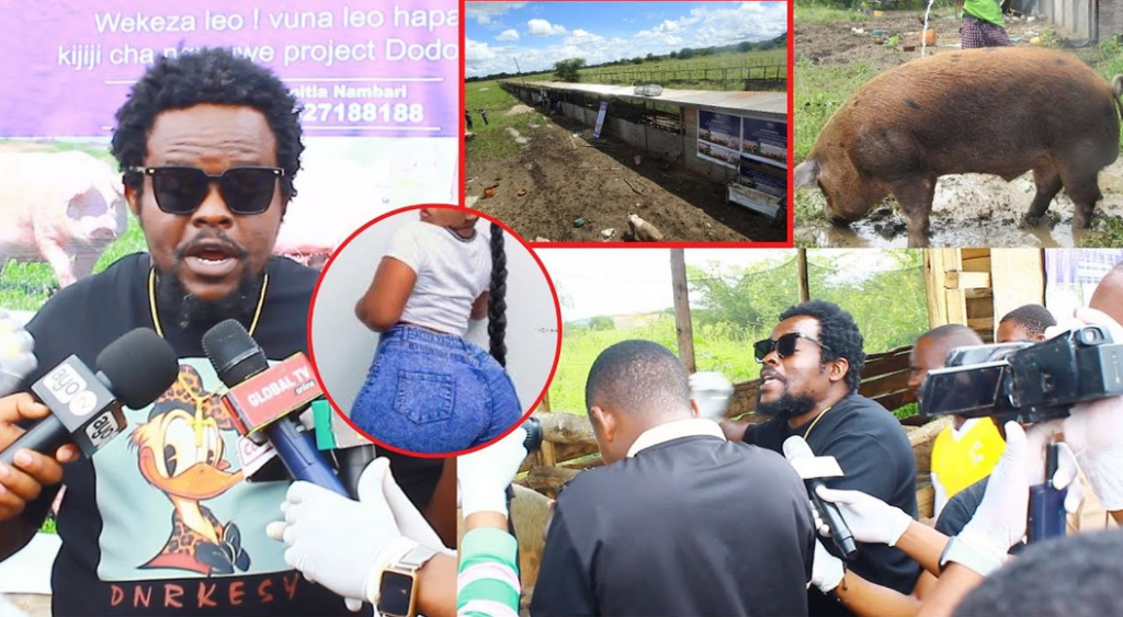 Dotto Magari Atembelea Mradi Wake Wa Nguruwe Alowekeza Mil 70 Dodoma ...