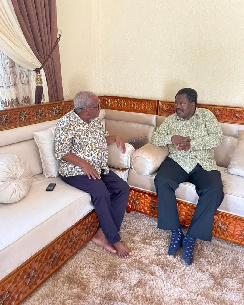 Dk Nchimbi Amtembelea Mzee Yusuf Makamba jijini Dar – Global Publishers